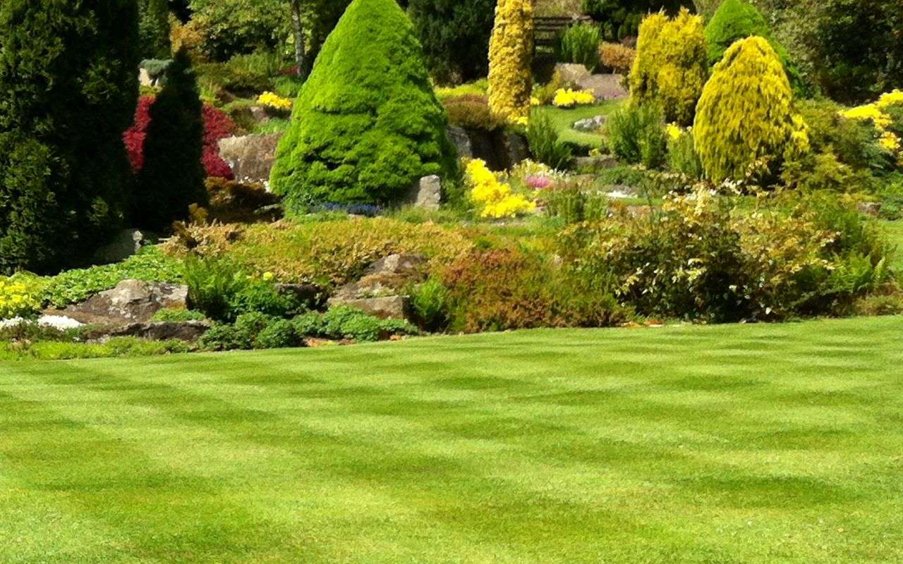 Lawn Mowing Patterns: Transform Your Yard Into Art