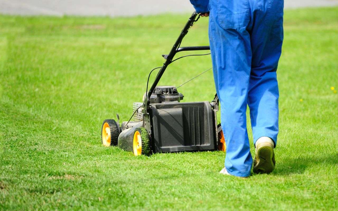 Lawn Mowing Patterns: Transform Your Yard Into Art